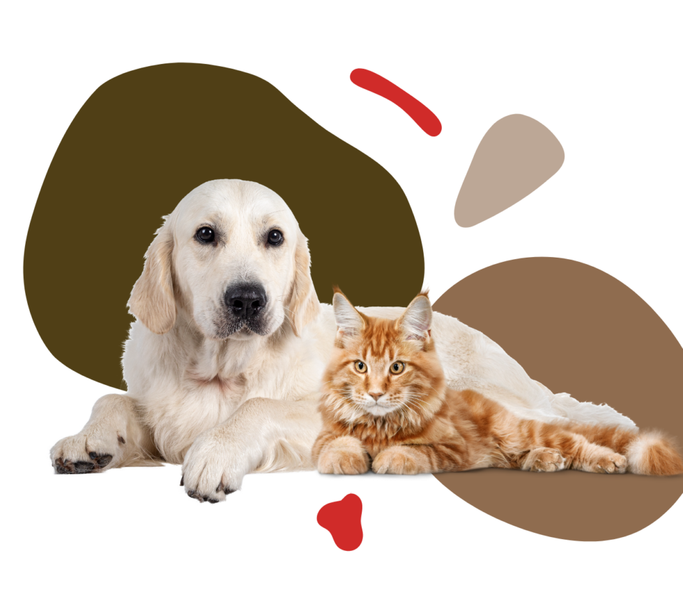 Best Veterinary Hospital in Coshocton, OH 43812 - A-1 Vet Care